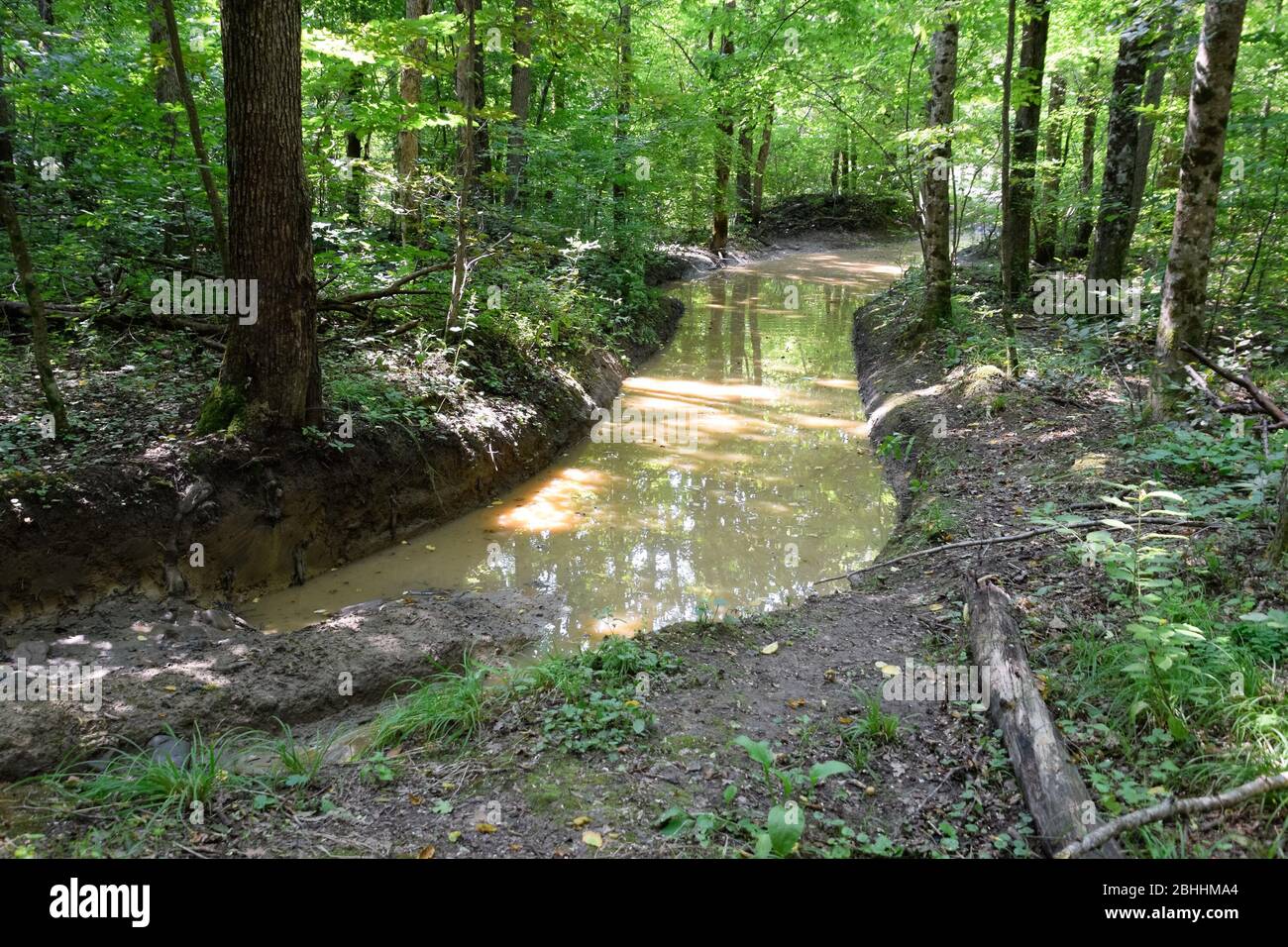 Dirty blurred forest road with a deep rut Stock Photo - Alamy