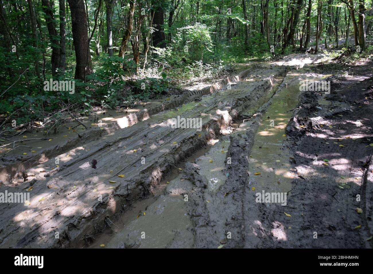 Dirty blurred forest road with a deep rut Stock Photo - Alamy