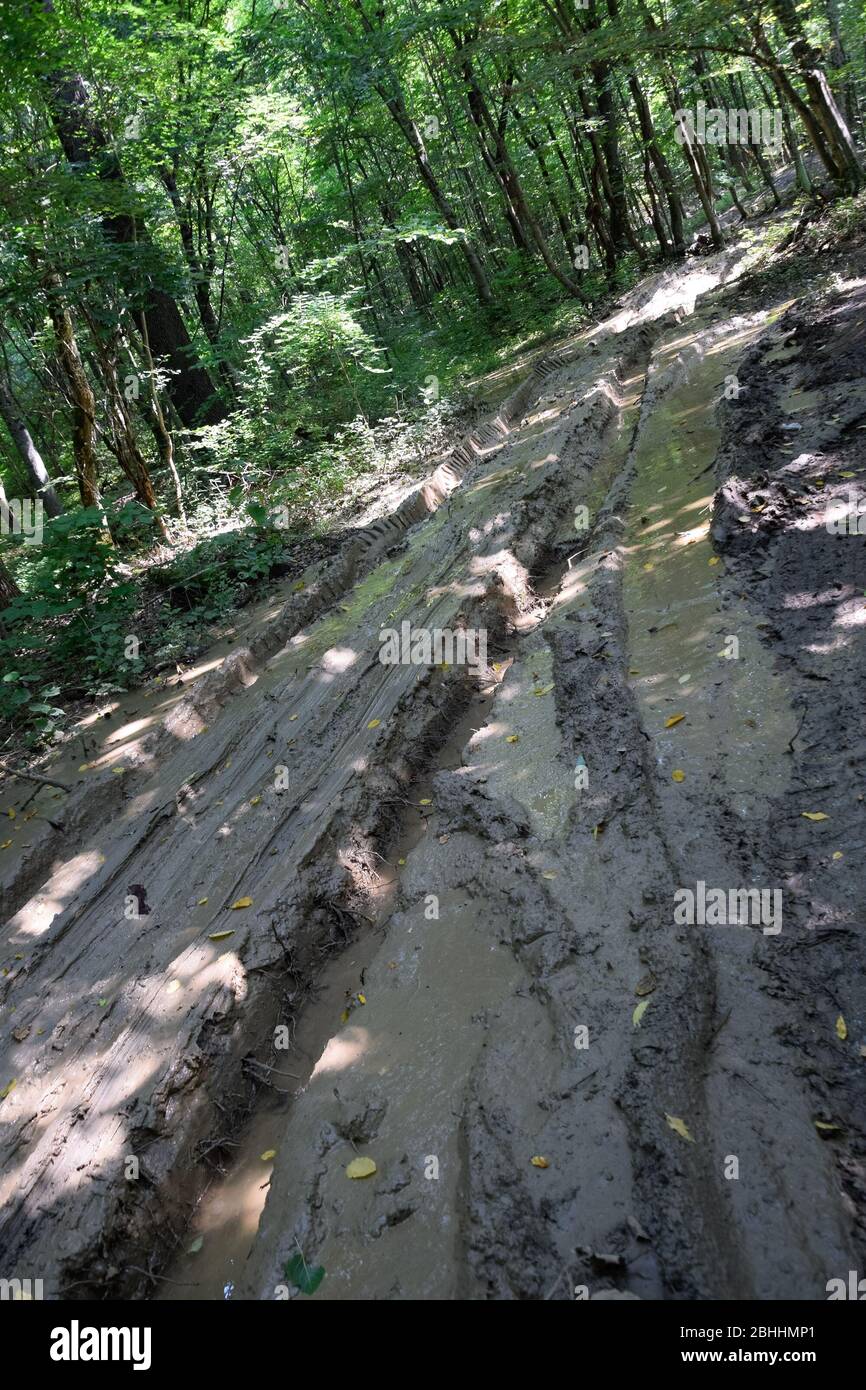 Dirty blurred forest road with a deep rut Stock Photo - Alamy