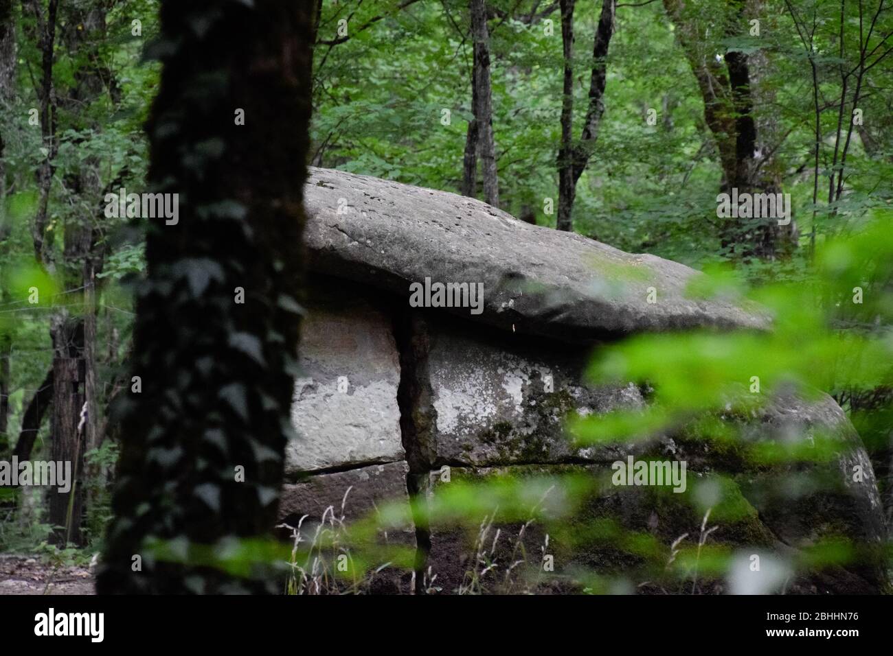 Dolmen in Shapsug. Forest in the city near the village of Shapsugskaya ...