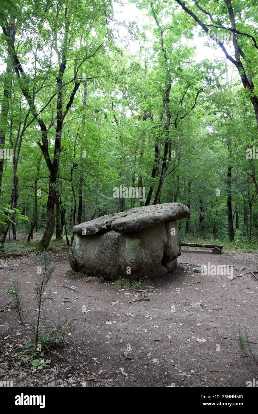 Dolmen in Shapsug. Forest in the city near the village of Shapsugskaya ...