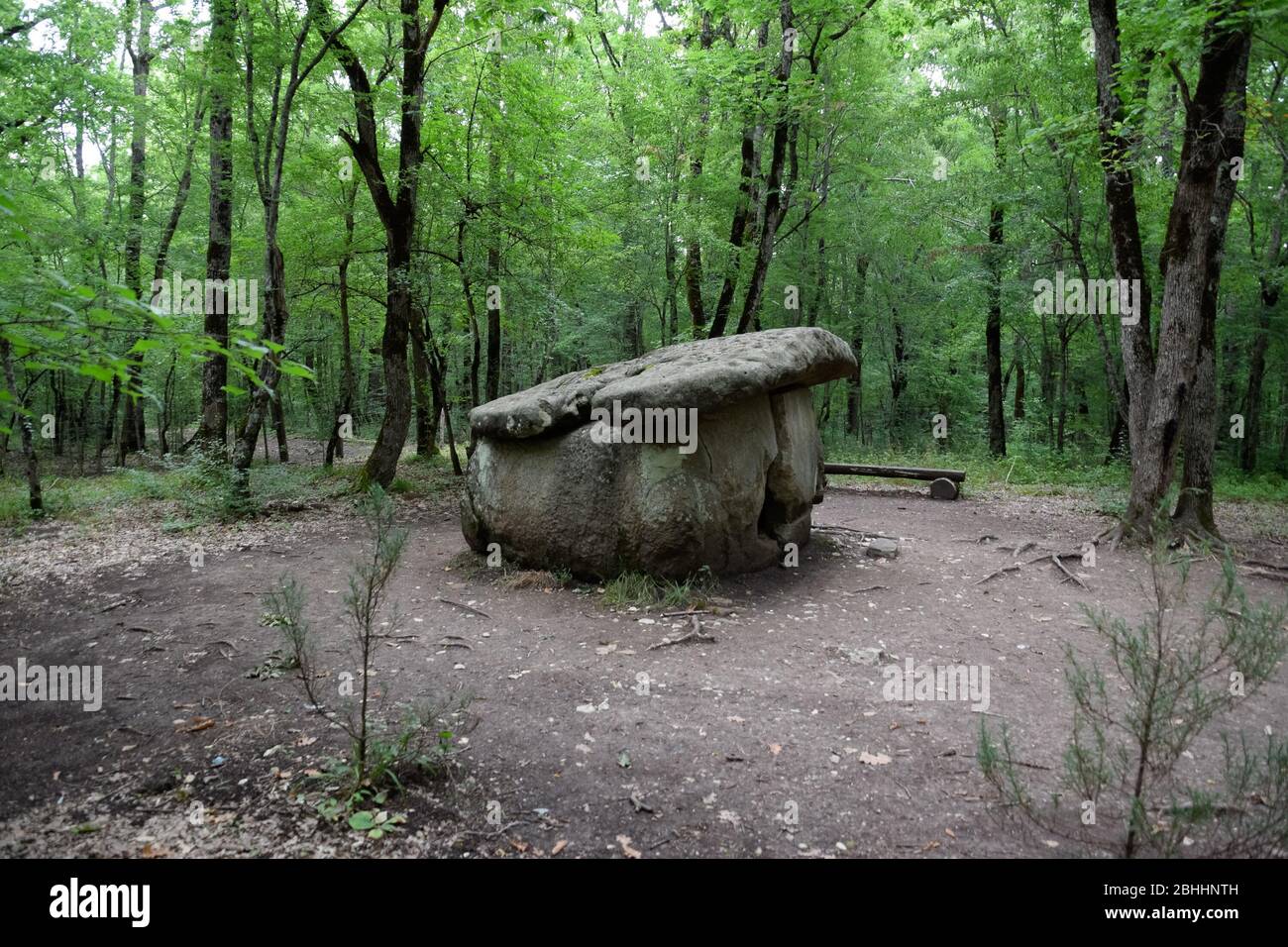 Dolmen in Shapsug. Forest in the city near the village of Shapsugskaya ...