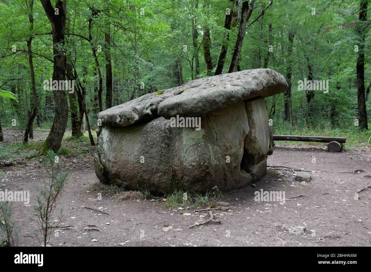 Dolmen in Shapsug. Forest in the city near the village of Shapsugskaya ...