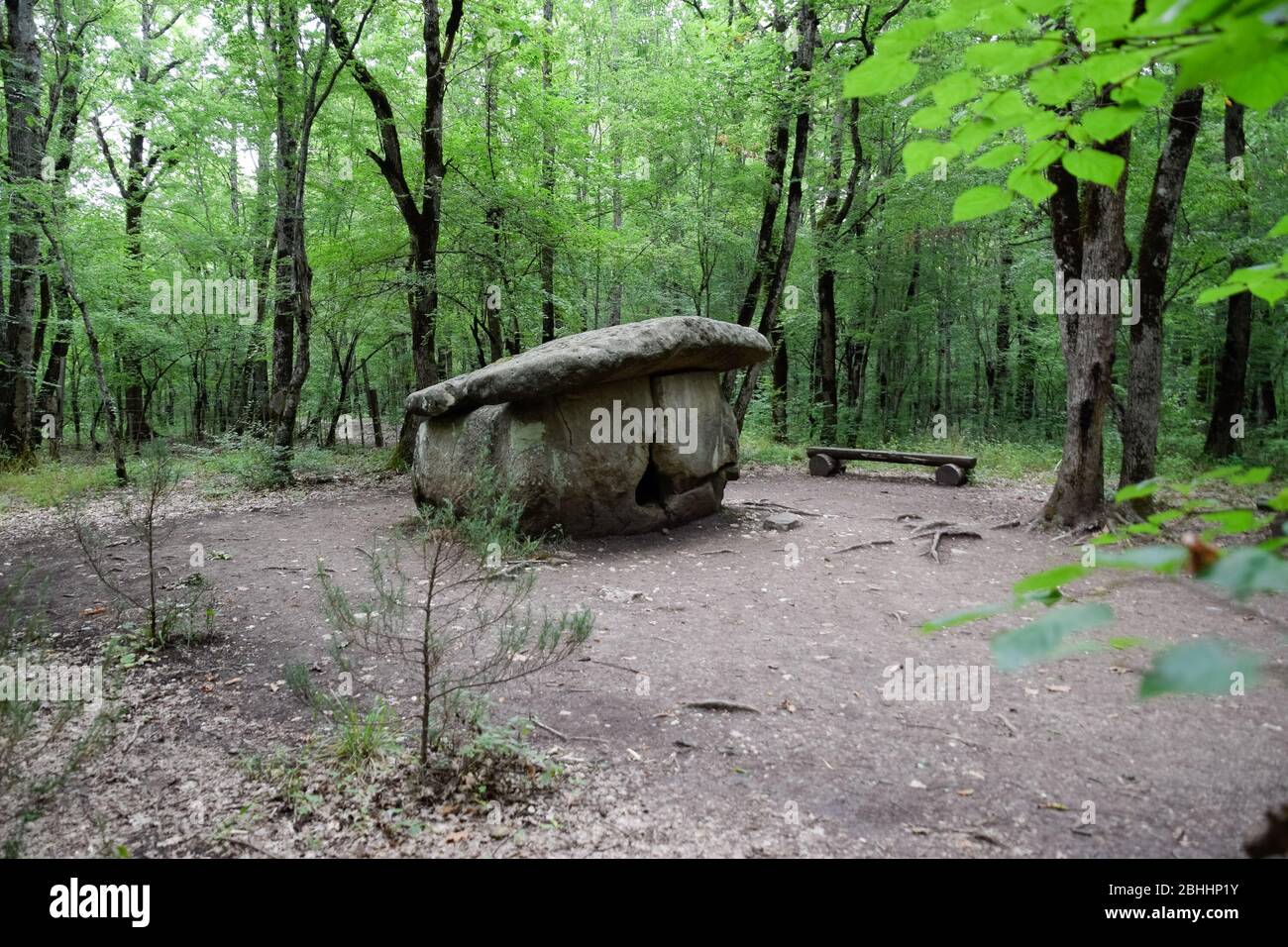 Dolmen in Shapsug. Forest in the city near the village of Shapsugskaya ...