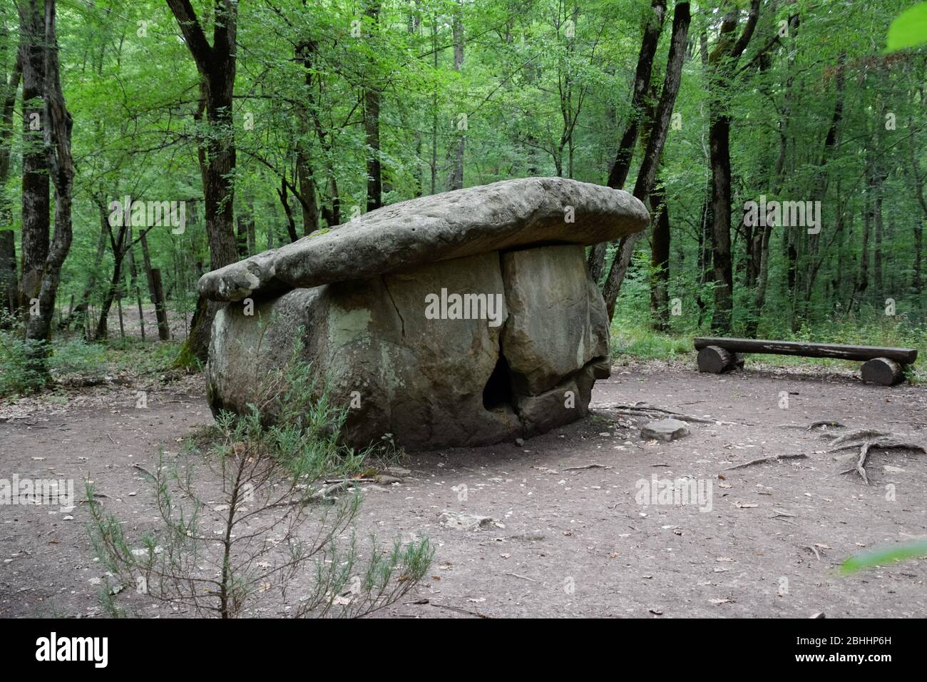 Dolmen in Shapsug. Forest in the city near the village of Shapsugskaya ...