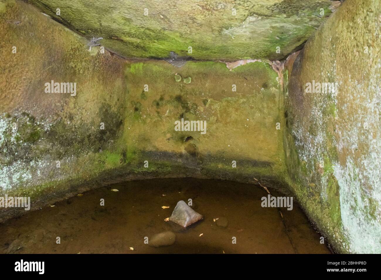 Dolmen in Shapsug. Forest in the city near the village of Shapsugskaya ...