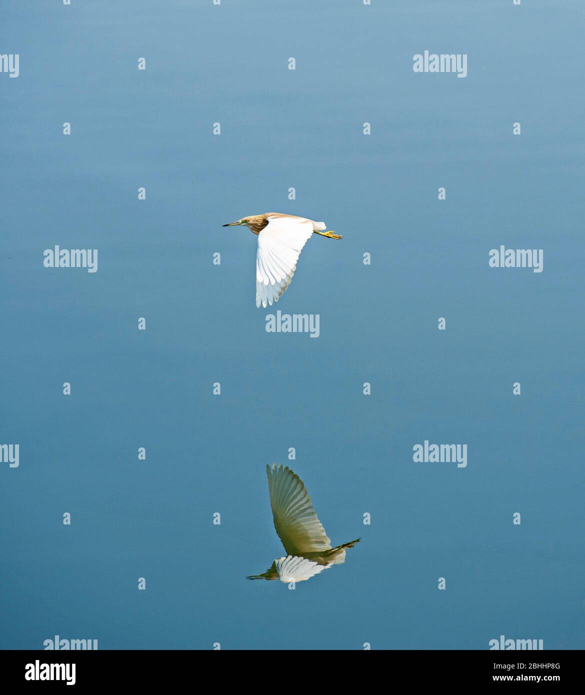 Flying river hi-res stock photography and images - Alamy