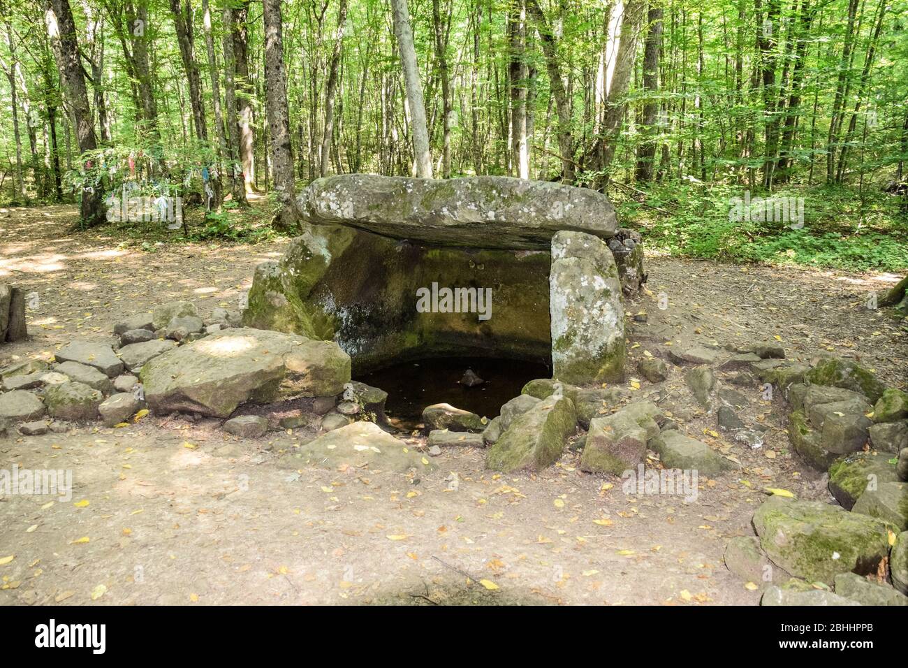 Dolmen in Shapsug. Forest in the city near the village of Shapsugskaya ...