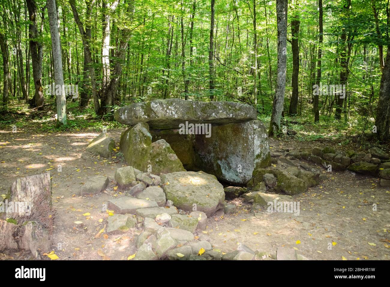 Dolmen in Shapsug. Forest in the city near the village of Shapsugskaya ...