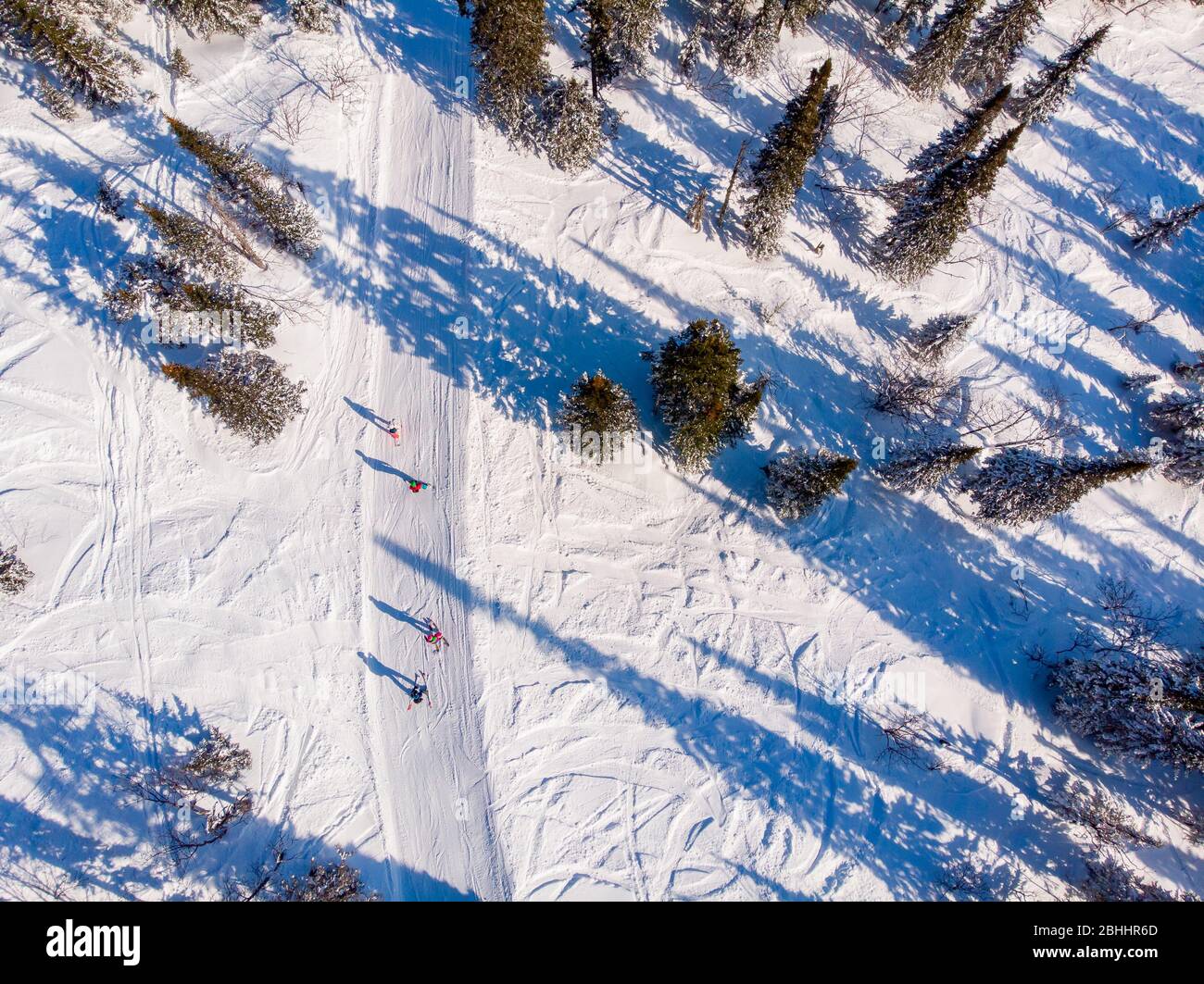 Team friends snowboarders and skiers rides along track through forest ...