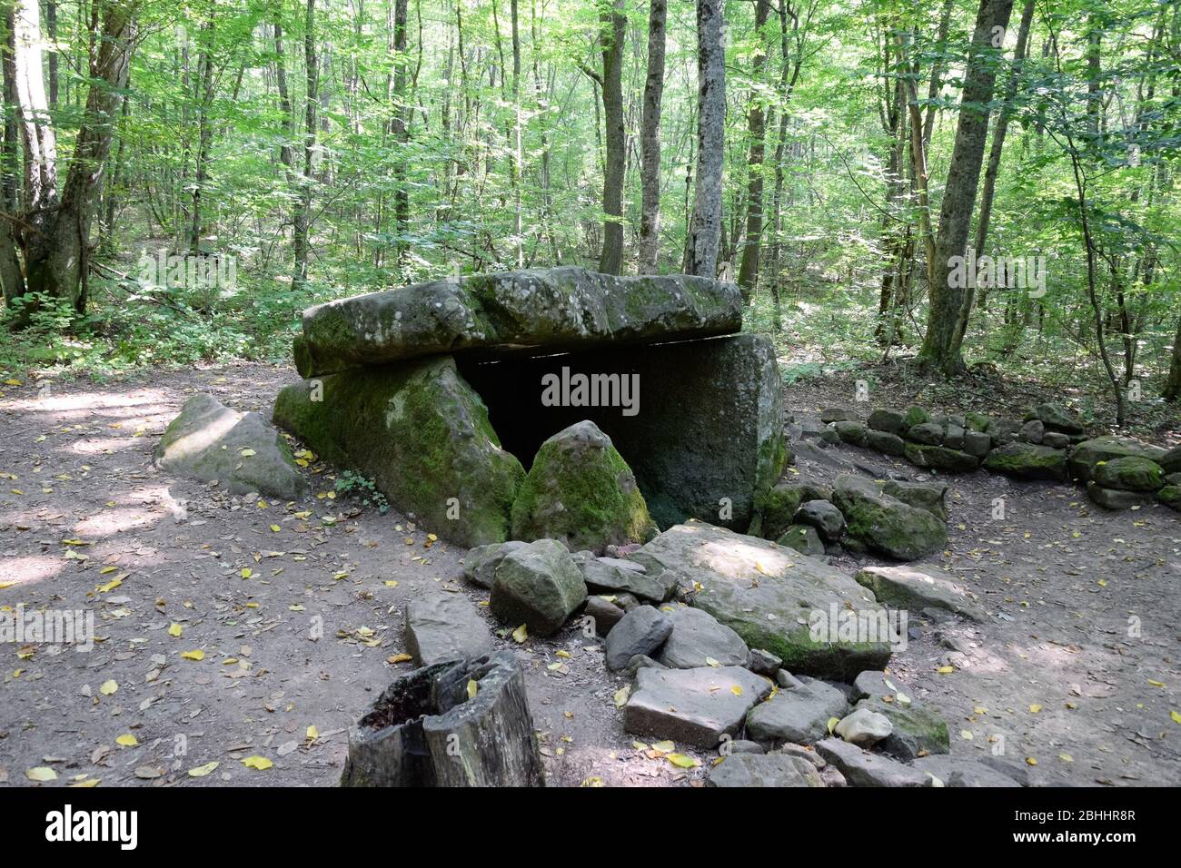 Dolmen in Shapsug. Forest in the city near the village of Shapsugskaya ...