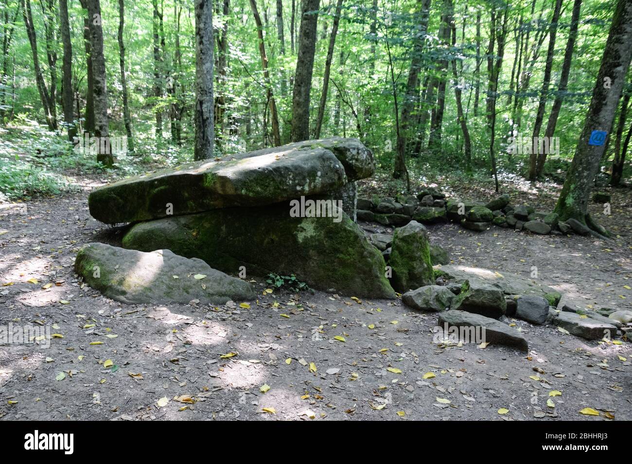 Dolmen in Shapsug. Forest in the city near the village of Shapsugskaya ...