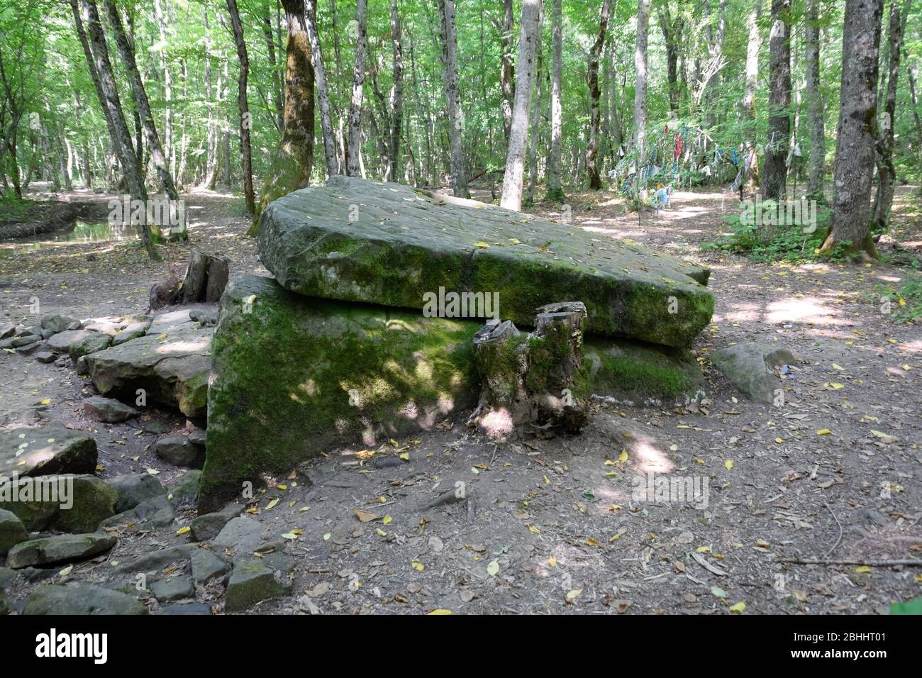 Dolmen in Shapsug. Forest in the city near the village of Shapsugskaya ...