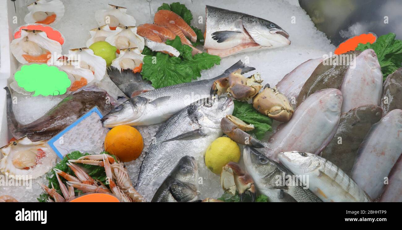 many types of fresh fish for sale in the fishmonger stall at the weekly ...