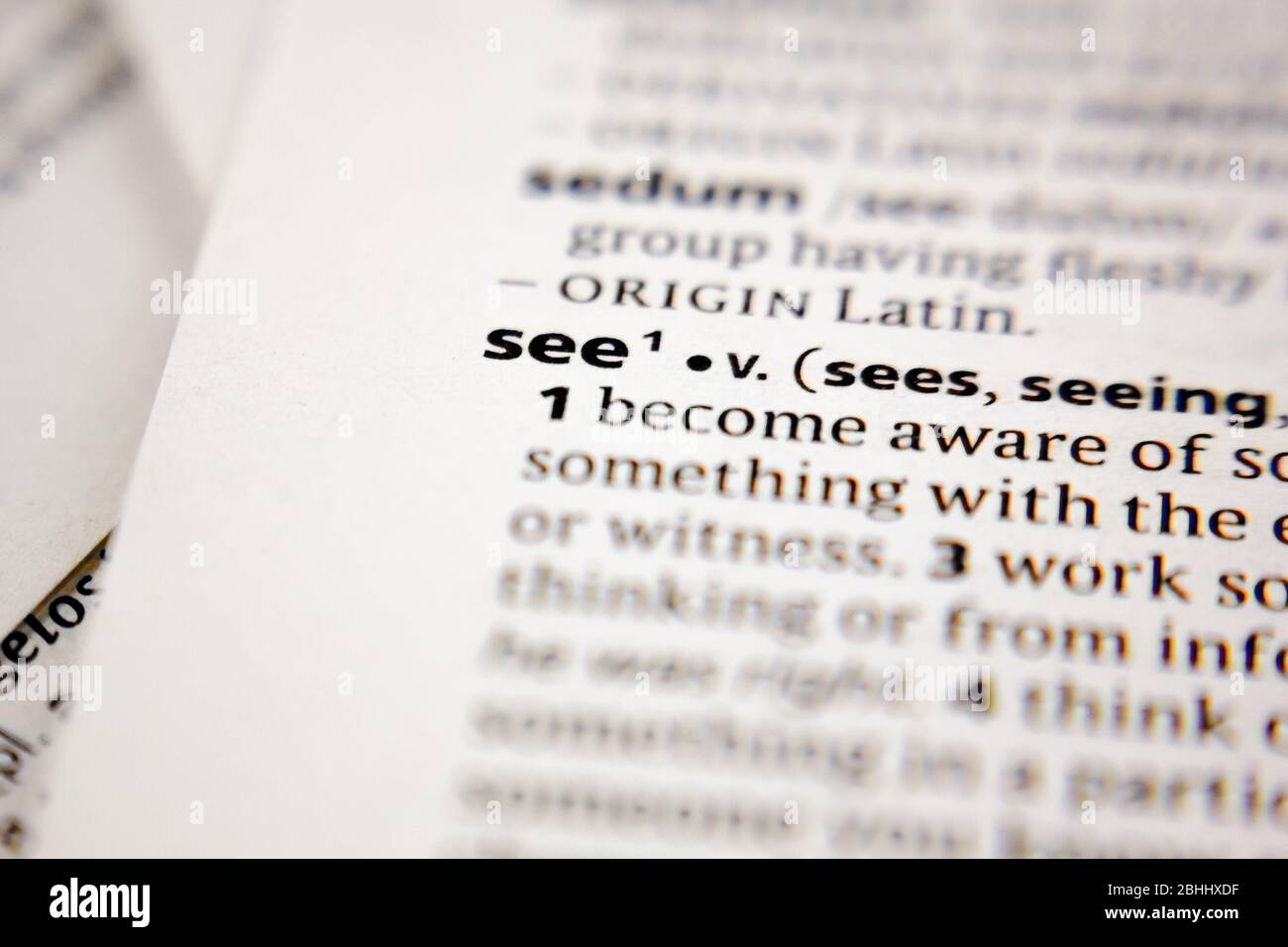 Word or phrase see in a dictionary Stock Photo - Alamy