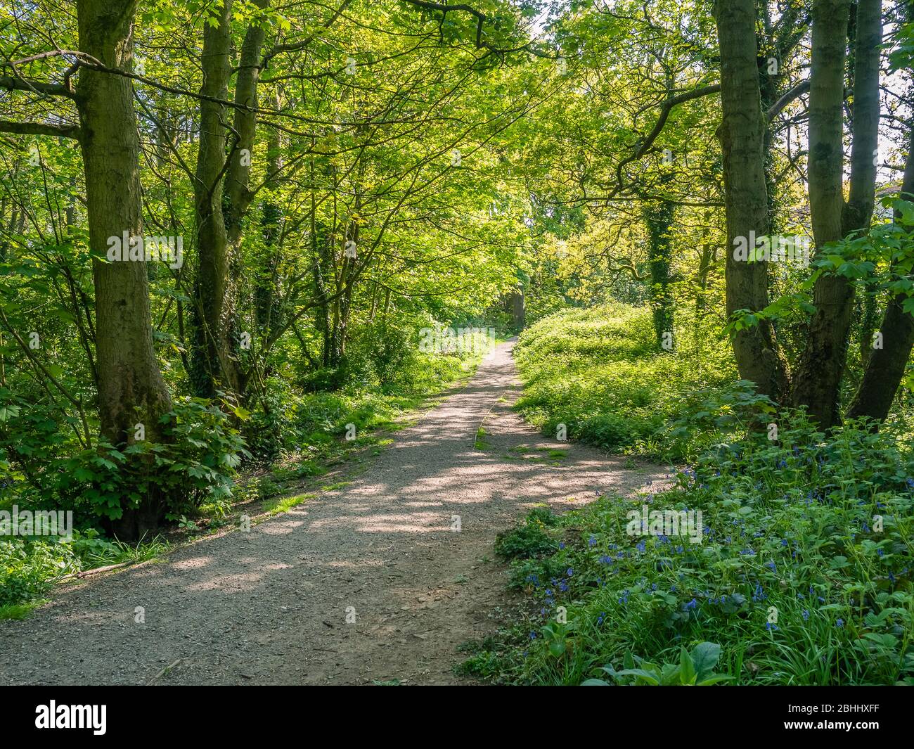 Clinkham Wood Local Nature Reserve is located in the Metropolitan ...