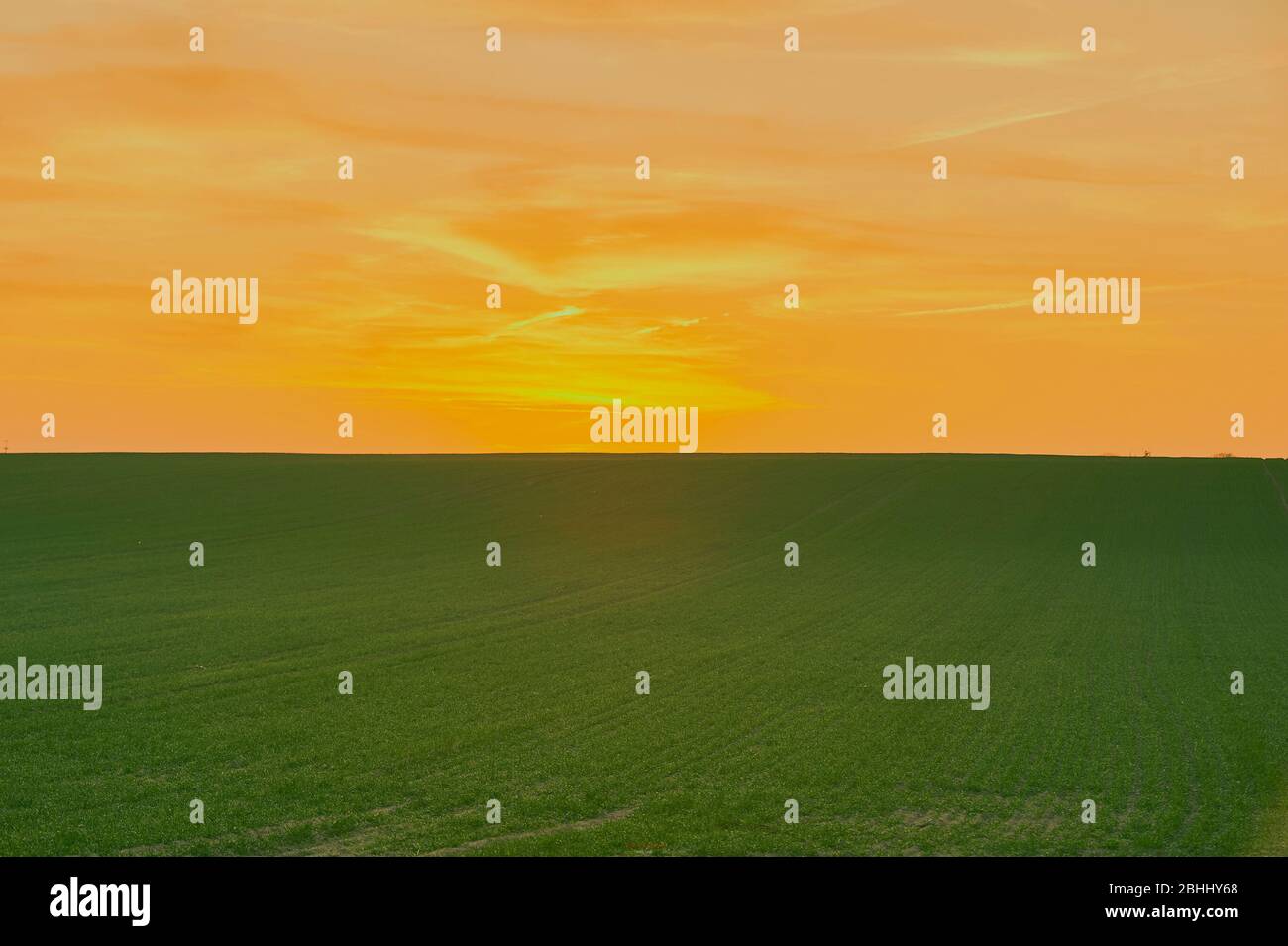 Over the green fields hi-res stock photography and images - Alamy