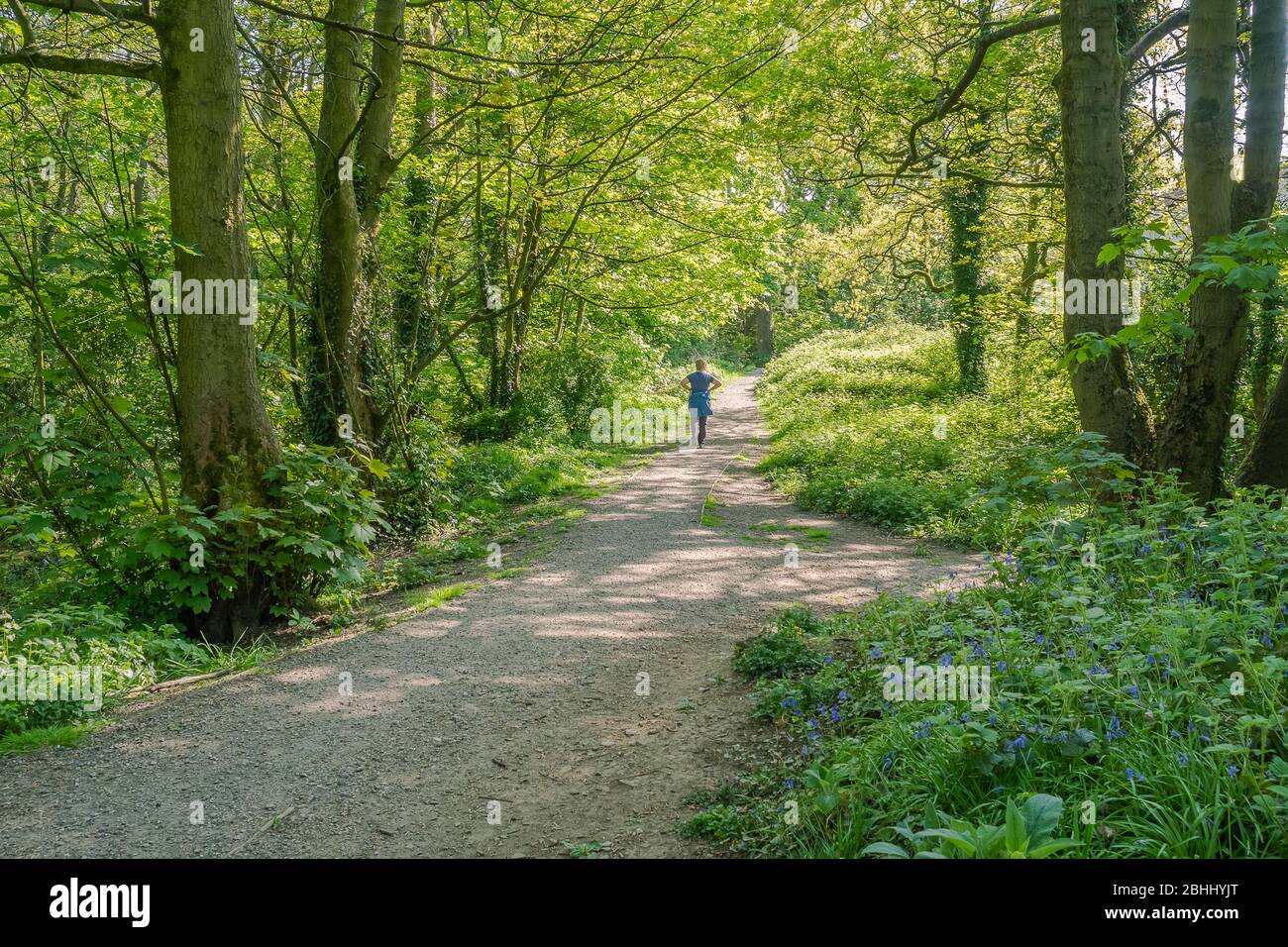 Friends of clinkham hi-res stock photography and images - Alamy