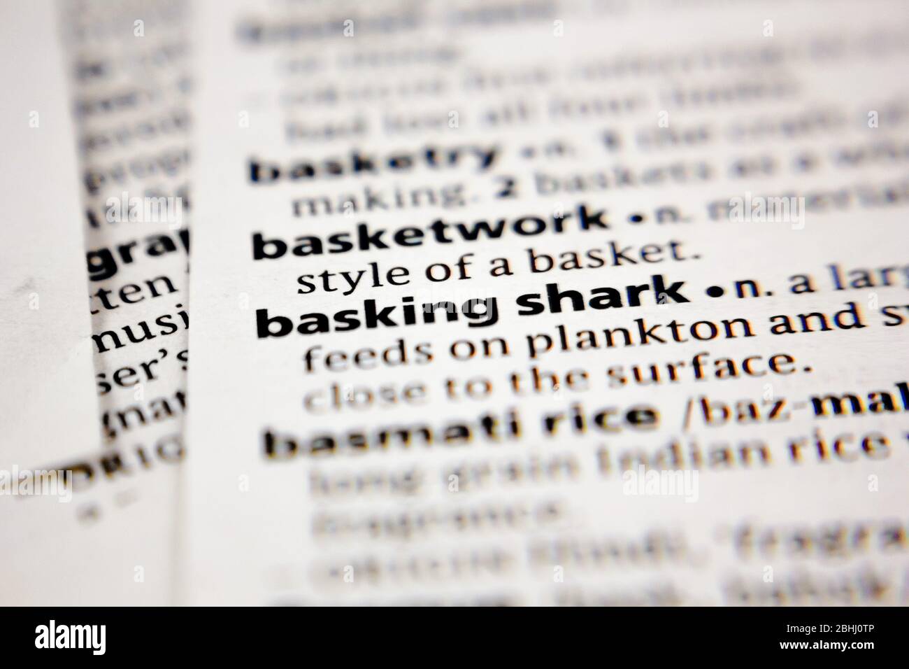 Word or phrase basking shark in a dictionary Stock Photo - Alamy