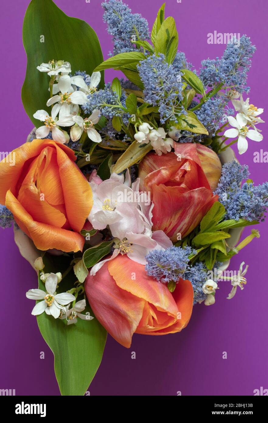 Bouquet of spring flowering garden plants seen in April Stock Photo - Alamy
