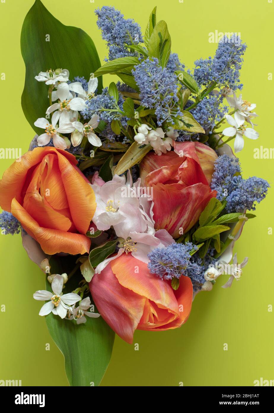 Bouquet of spring flowering garden plants seen in April Stock Photo - Alamy