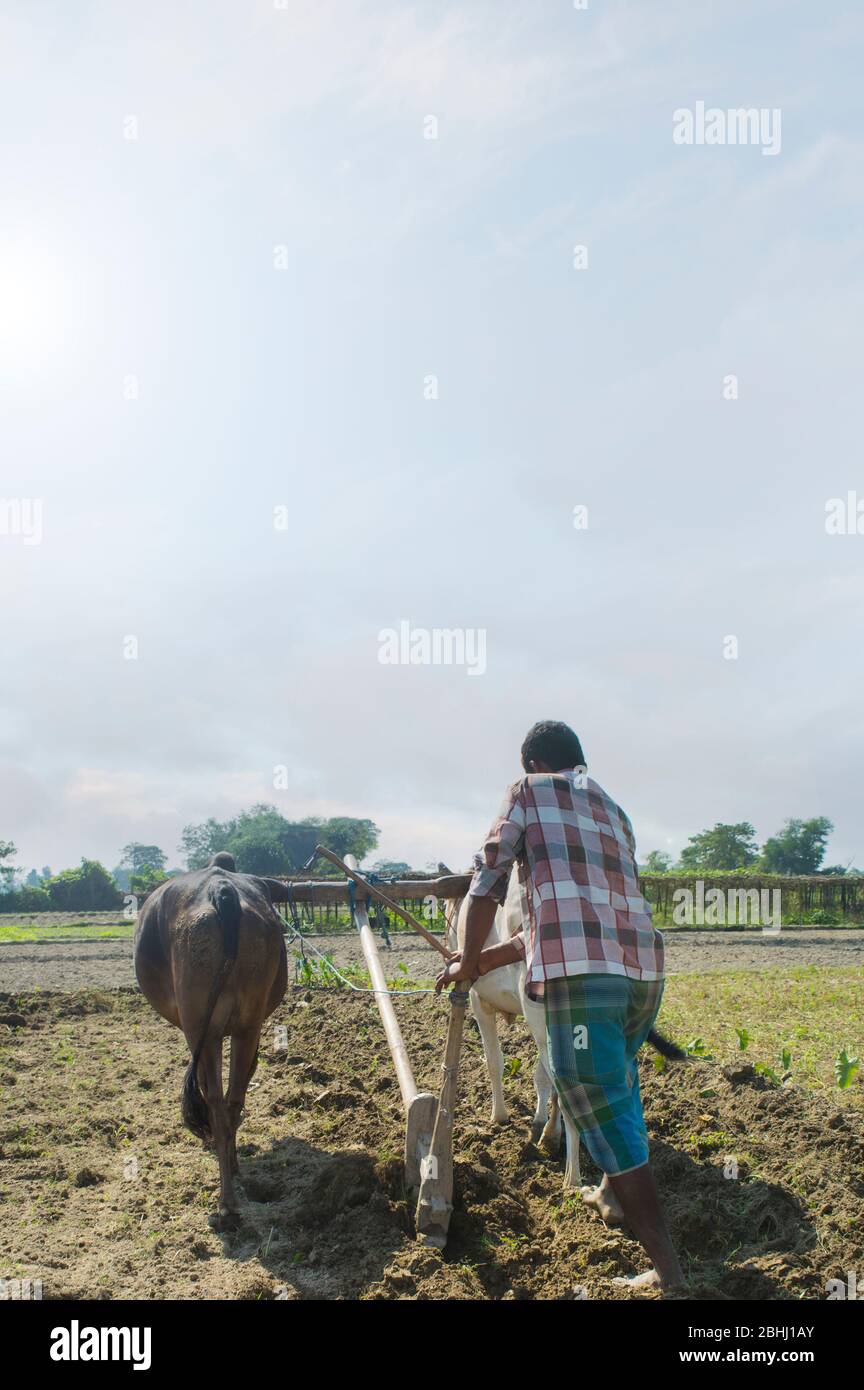 Working holding agriculture ploughing field hi-res stock photography ...