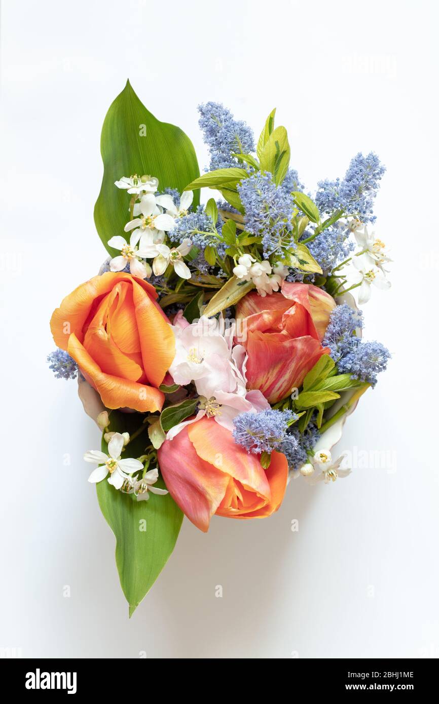 Bouquet of spring flowering garden plants seen in April Stock Photo - Alamy