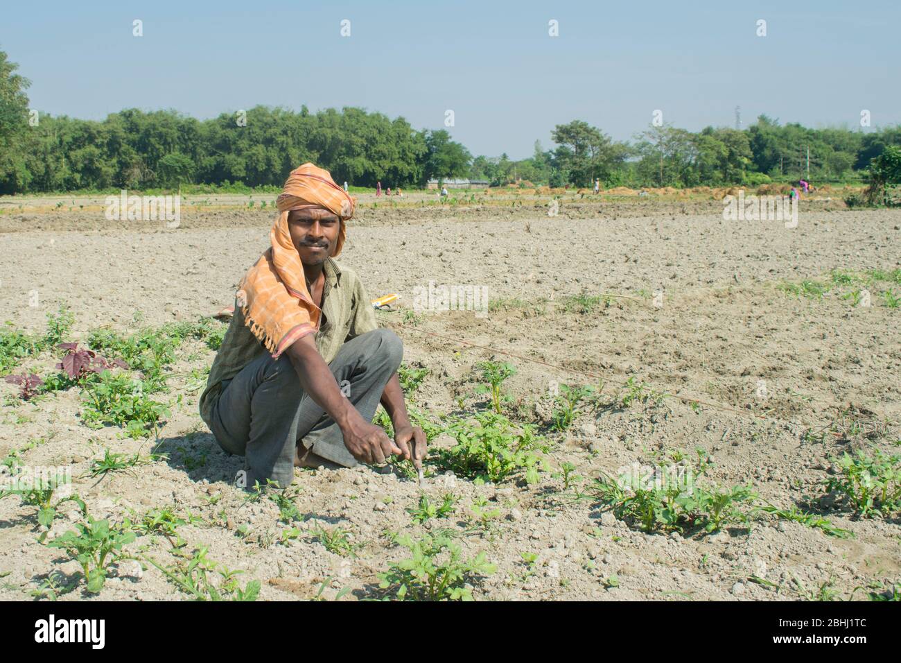 Indian farming woking in field hi-res stock photography and images - Alamy