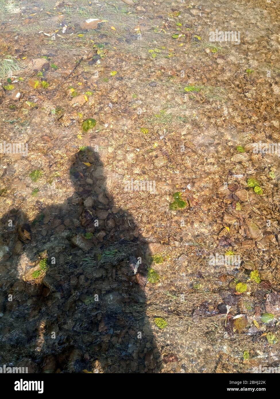 Background shallow water river gravel hi-res stock photography and ...