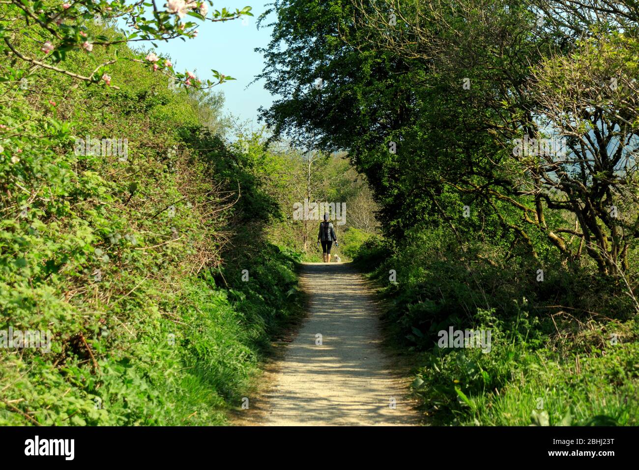 Great Harwood Loop Line.Looking towards Martholme Viaduct Stock Photo ...