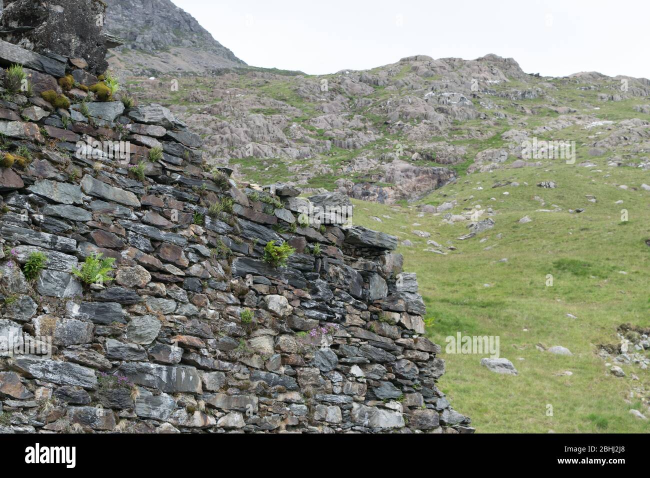 Mount Snowdon, Snowdonia, North Wales, UK Stock Photo - Alamy