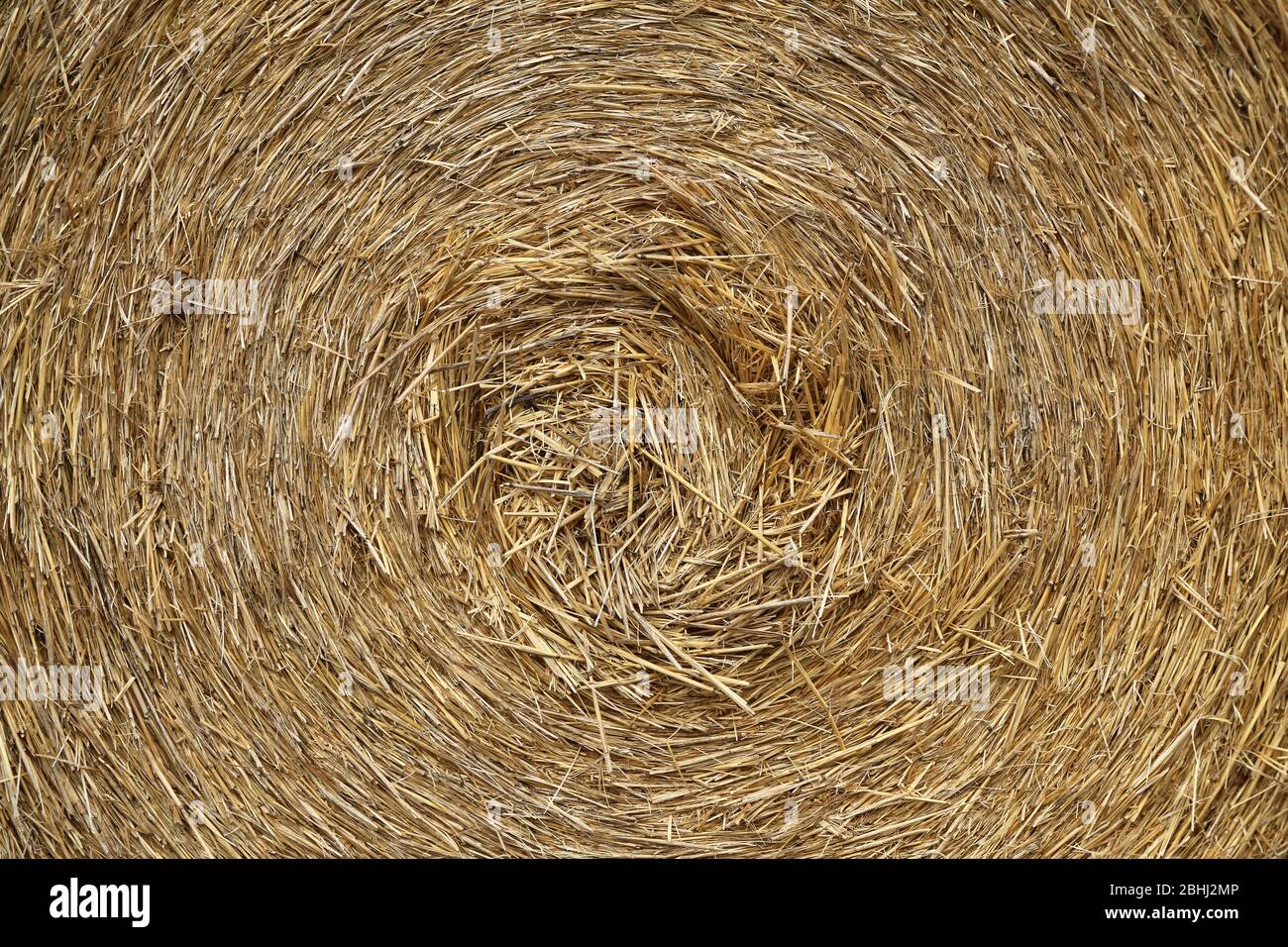 Pressed straw in field hi-res stock photography and images - Alamy