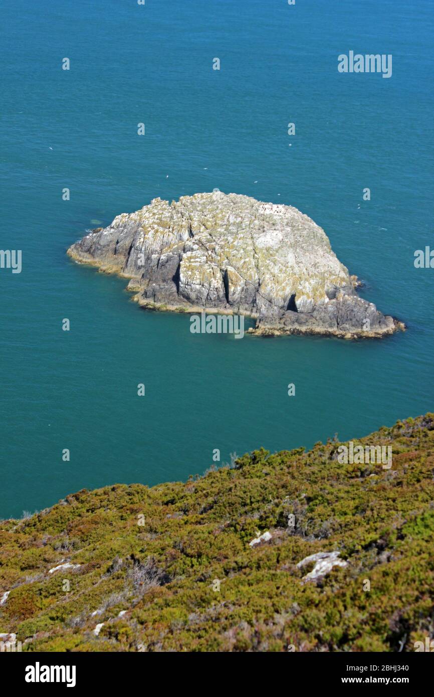 North Stack island Anglesey Wales Stock Photo - Alamy