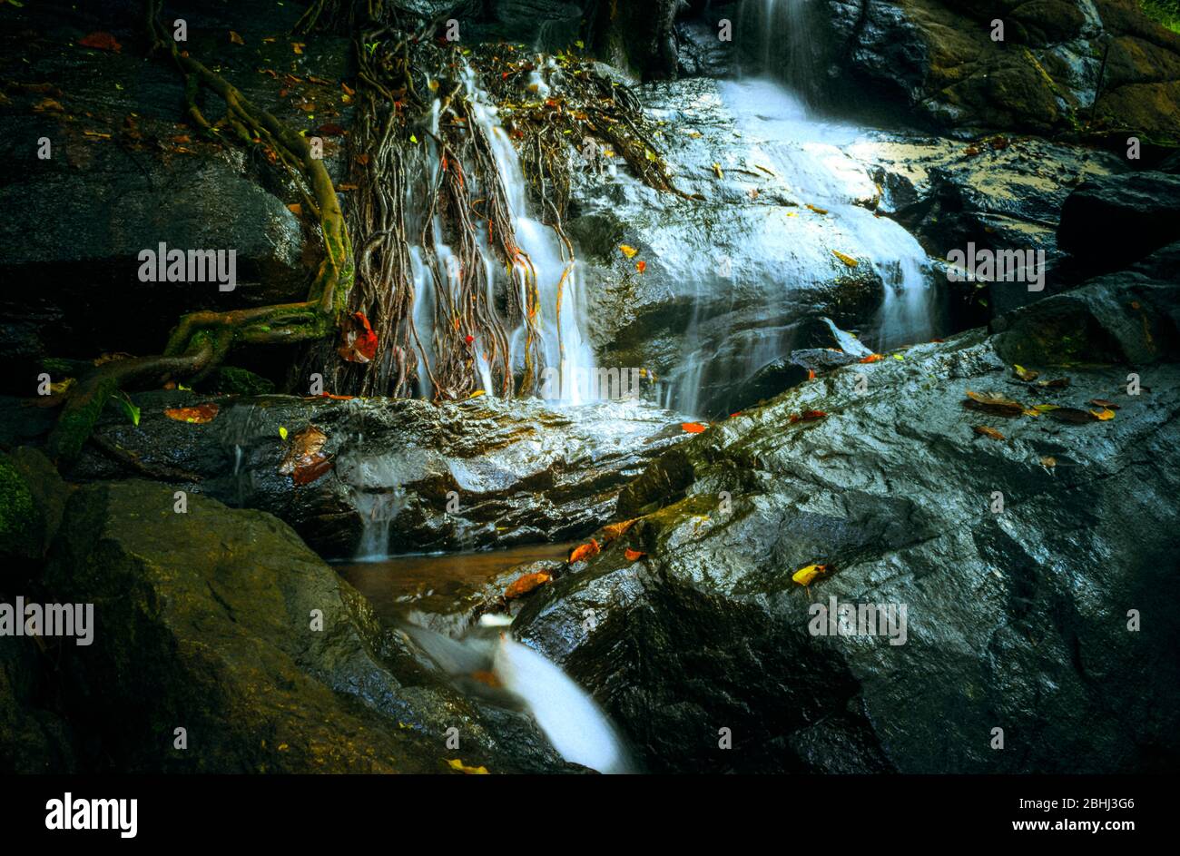 Kiliyur water falls hi-res stock photography and images - Alamy