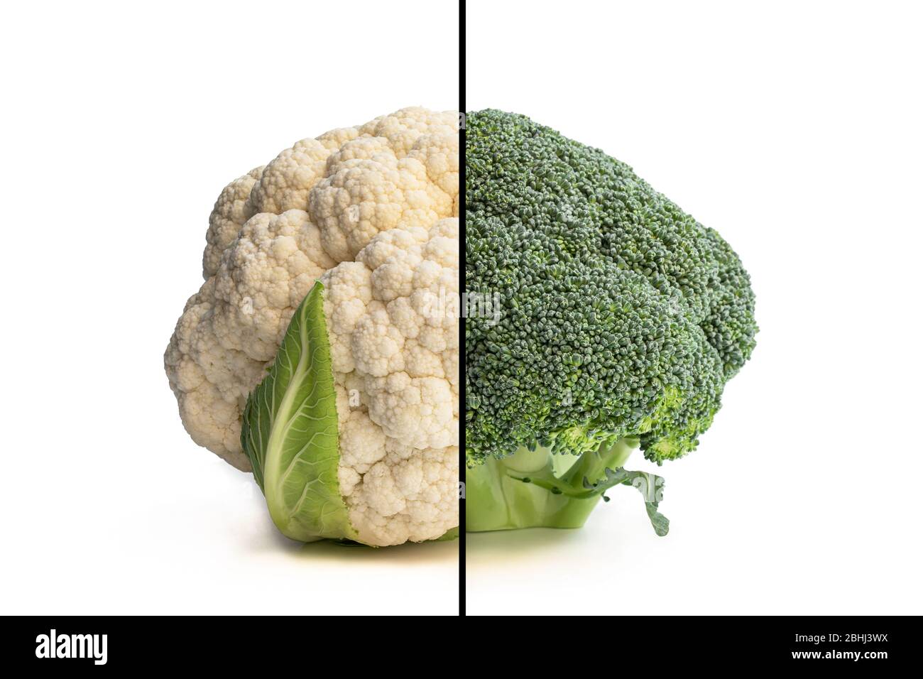 Conceptual two of a kind hi-res stock photography and images - Alamy