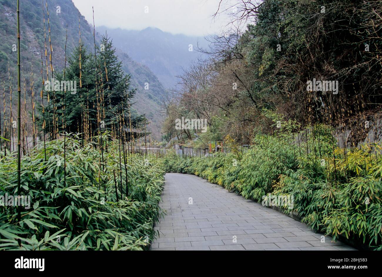 GIANT PANDA RESEARCH CENTER WOLONG, SICHUAN, CHINA, SICHUAN GIANT PANDA ...