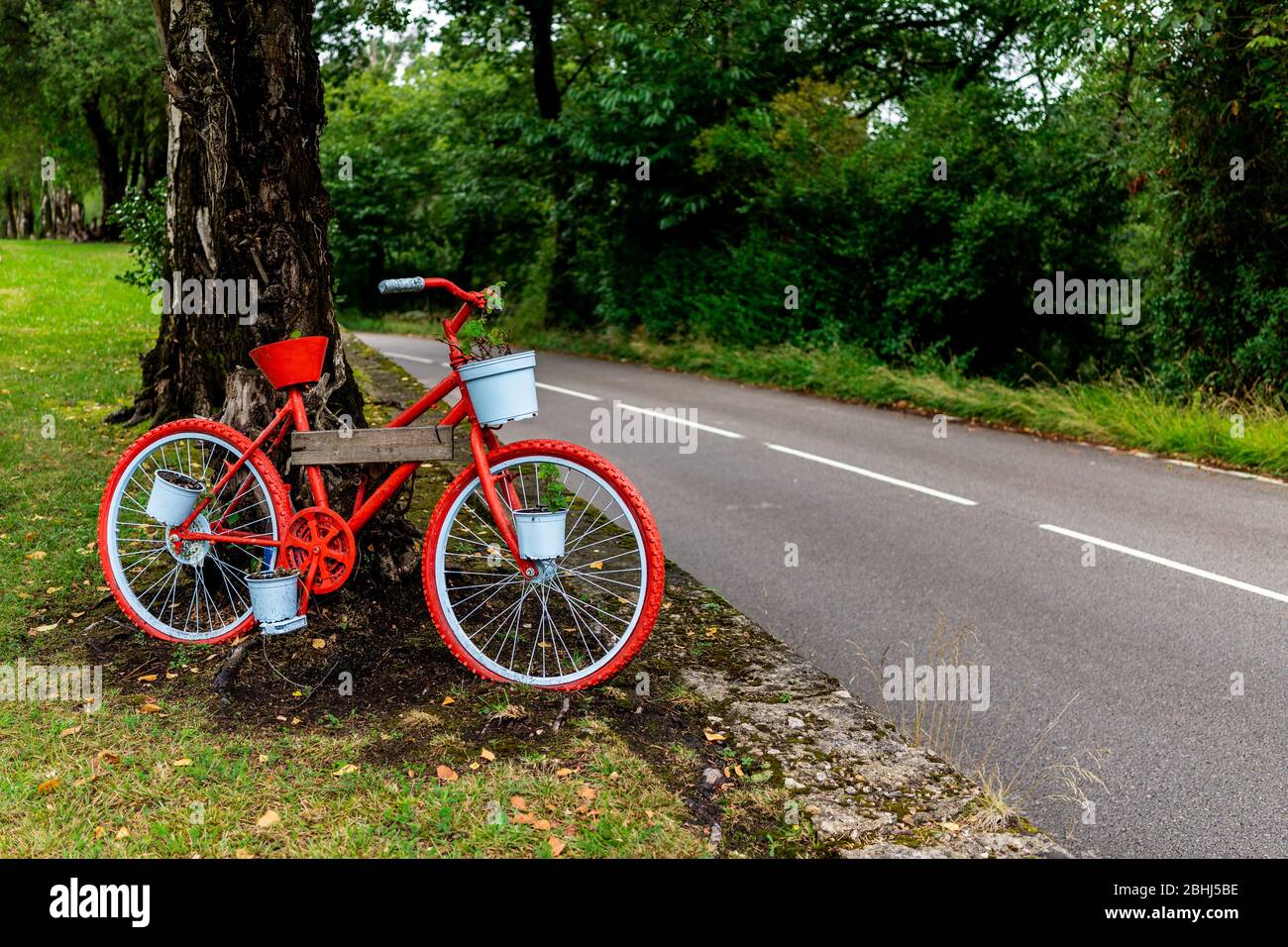 A red bike decorated with adonro apolla in a tree by the side of a road ...