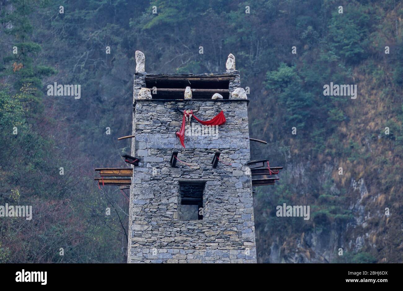 PANDA VALLEY, WOLONG NATURE RESERVE, WOLONG, SICHUAN, CHINA, SICHUAN ...