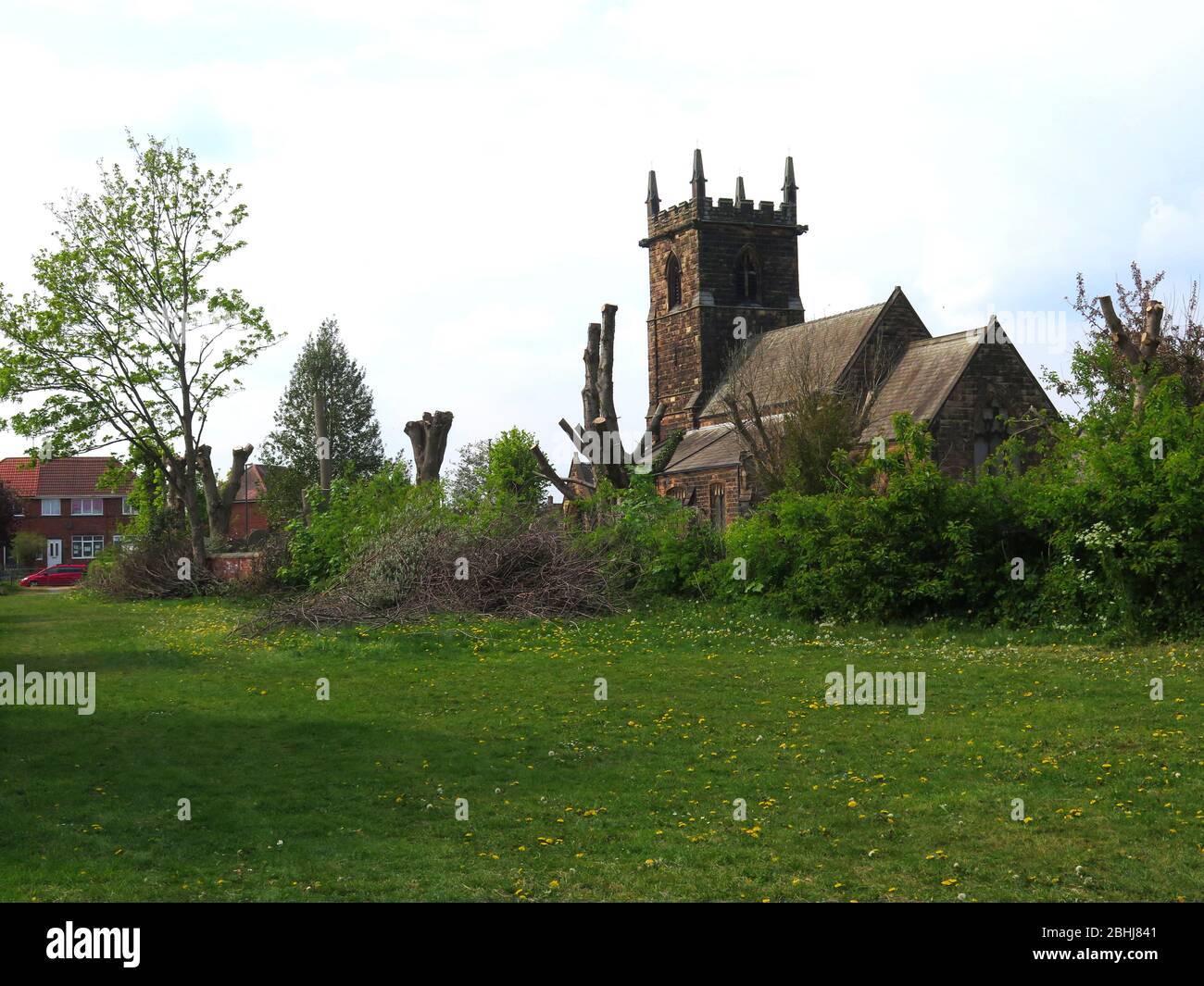 Trees cut back hi-res stock photography and images - Alamy