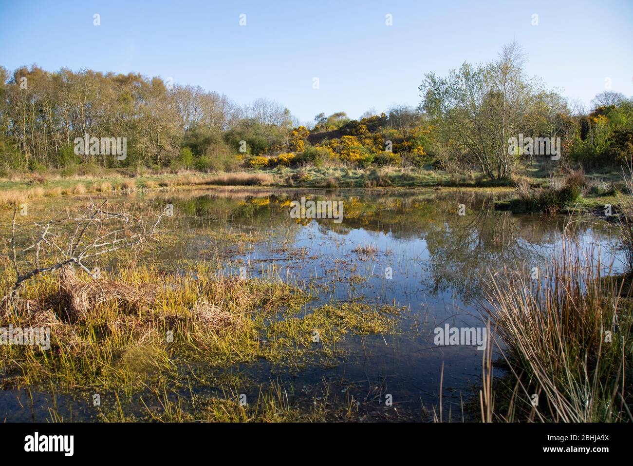 Spring light hi-res stock photography and images - Alamy