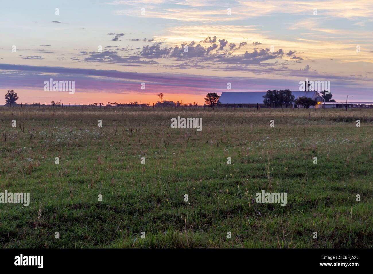 Colorful rural scene view during summer sunset in the field Stock Photo ...