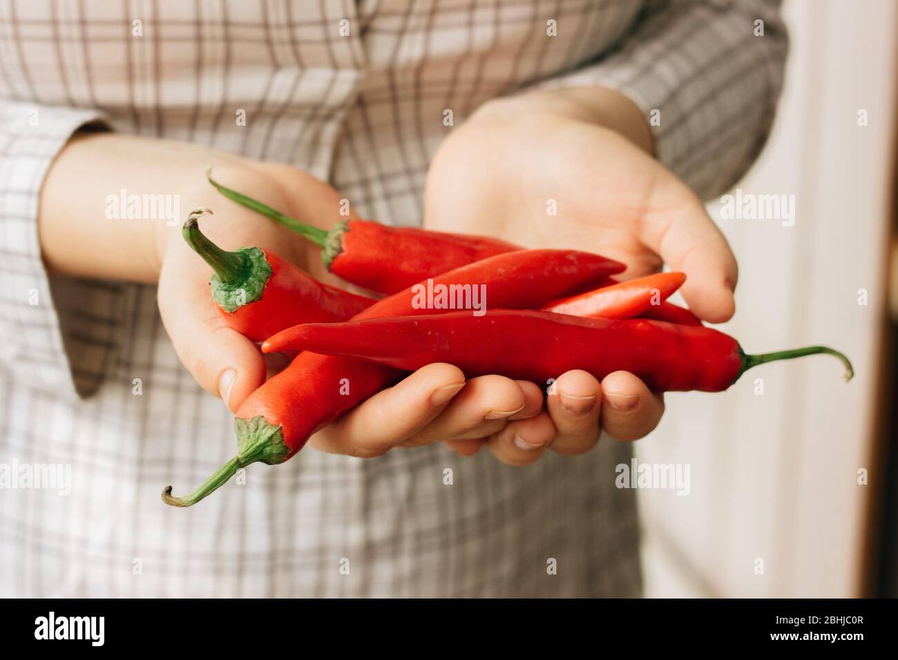 Hands holding chili peppers Stock Photo - Alamy