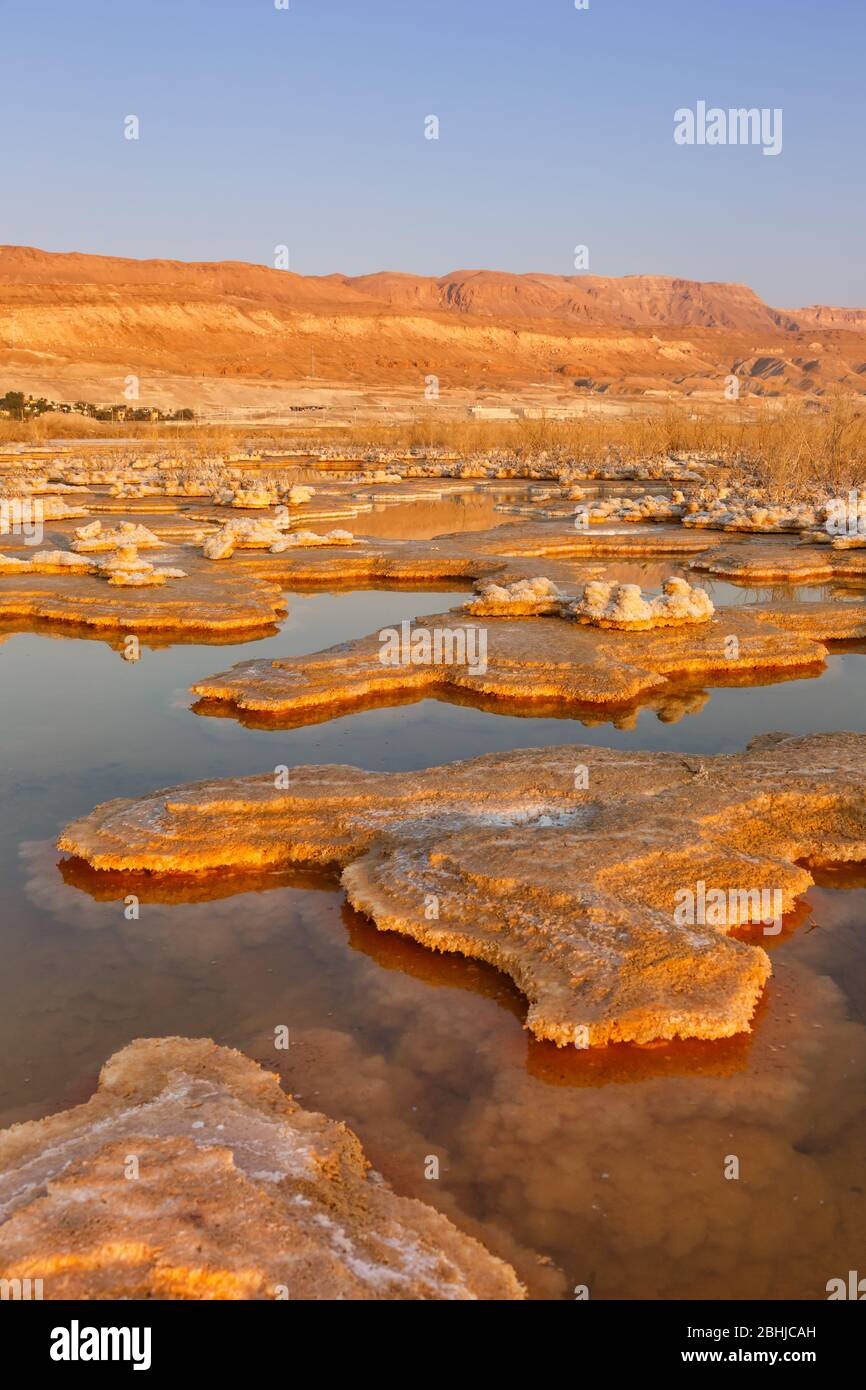 Sunrise at Dead Sea Israel desert landscape salt portrait format ...
