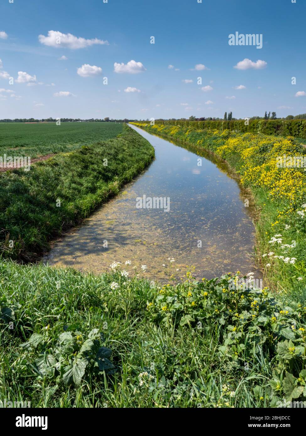 Drainage of the fens hi-res stock photography and images - Alamy