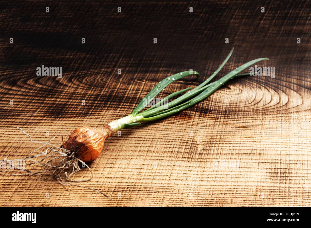 Single green onion close-up on a wooden background Stock Photo - Alamy