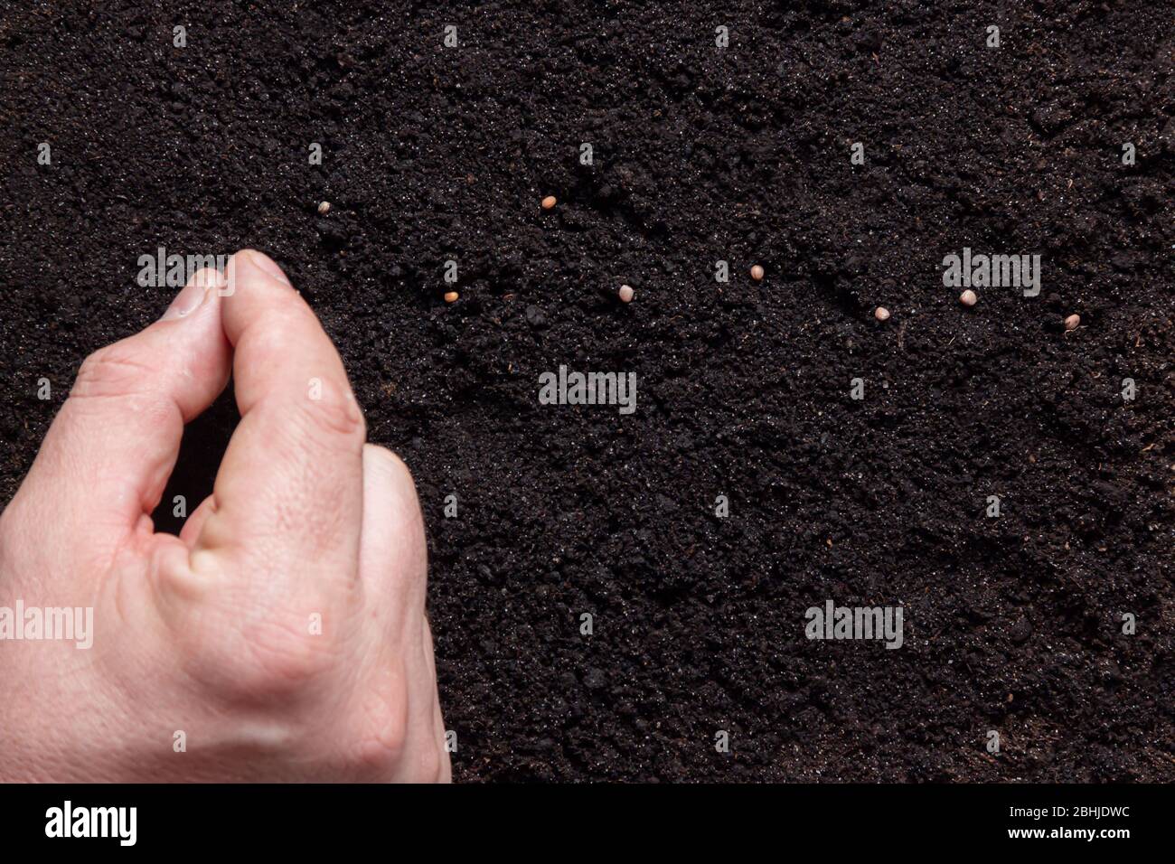 Farmer's hand planting a seeds in soil eco farm concept Stock Photo - Alamy