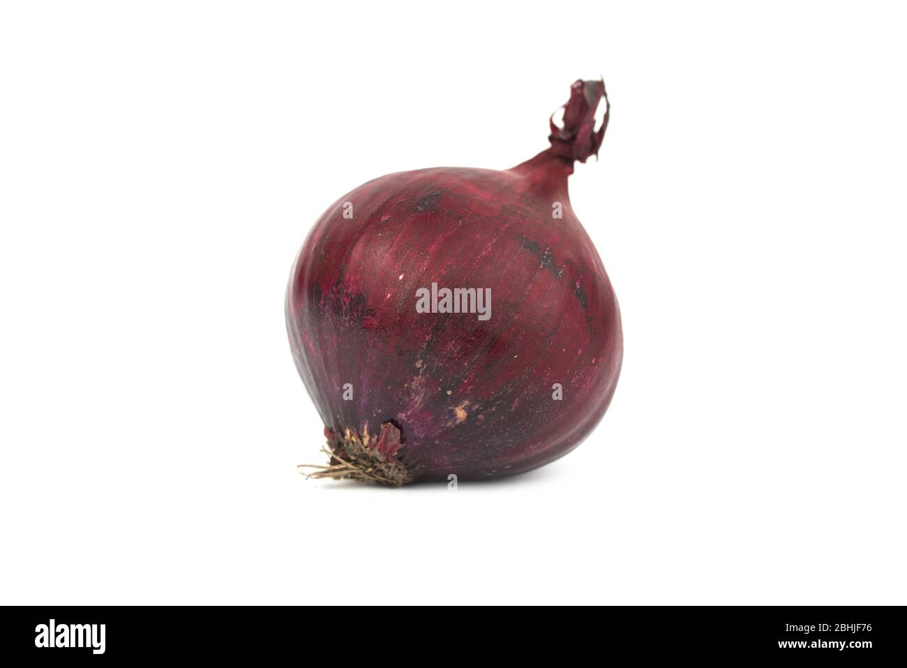single red onion Stock Photo - Alamy