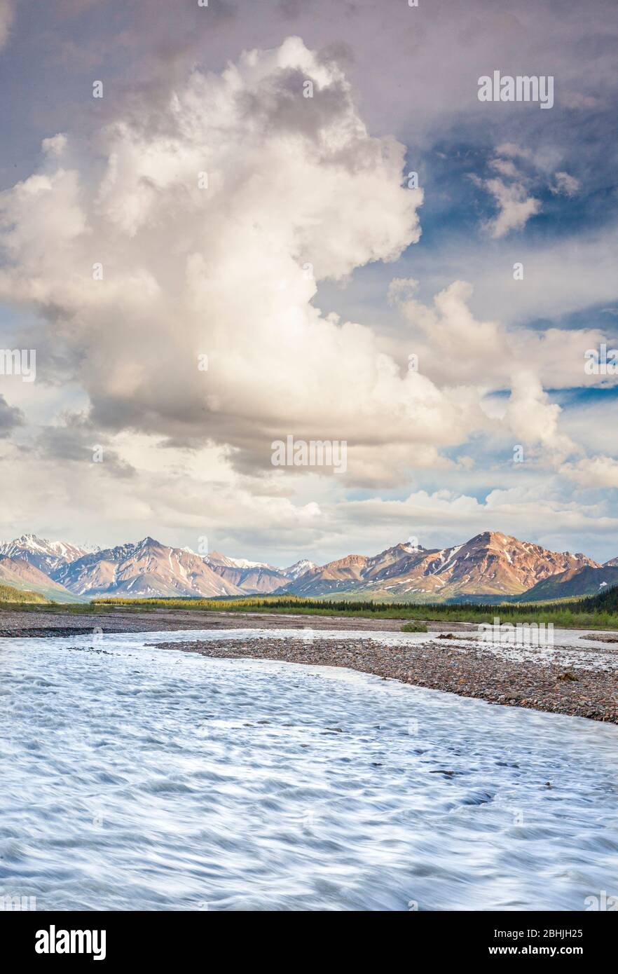 Teklanika river, Denali National Park and Preserve, Alaska, U.S.A Stock ...