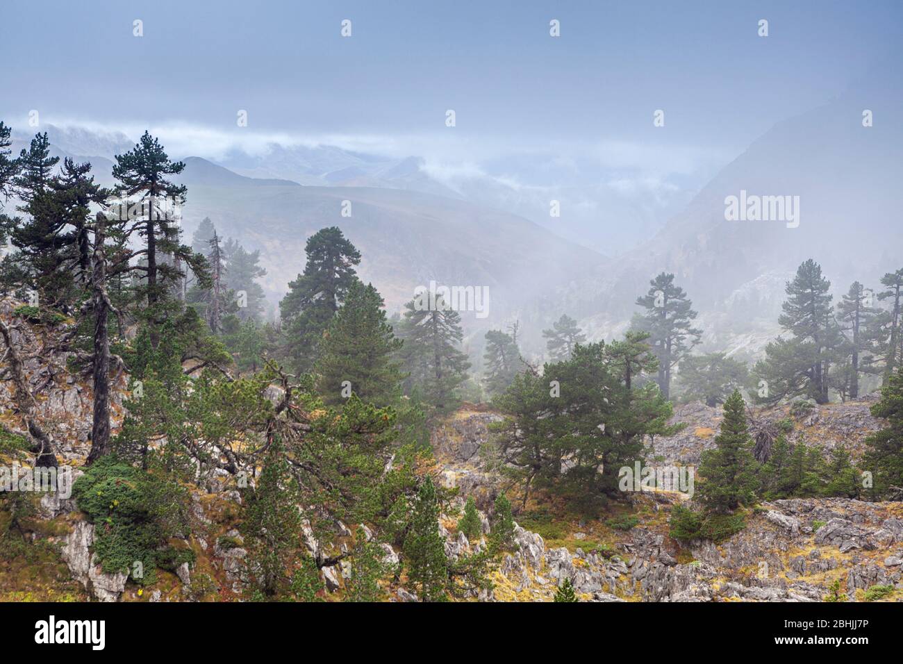 Valle del roncal hi-res stock photography and images - Alamy