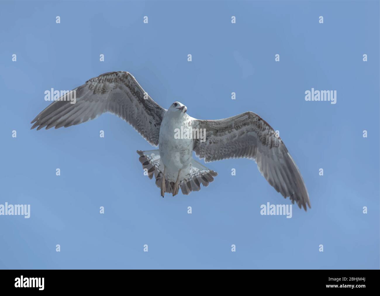 Gull fishing Stock Vector Images - Alamy
